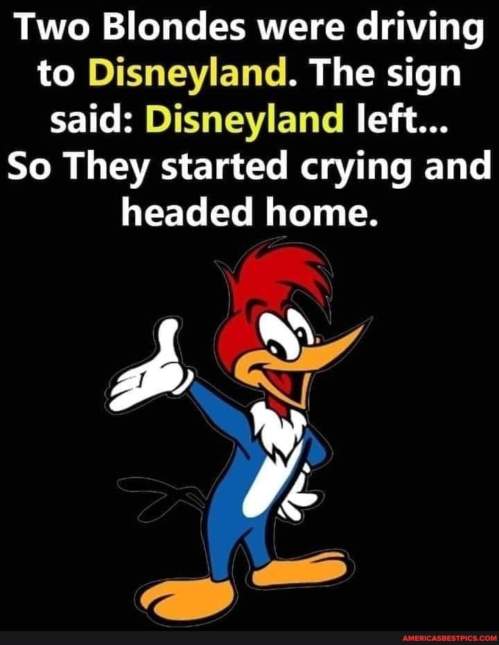 Two Blondes were driving to Disneyland. The sign said: Disneyland left ...