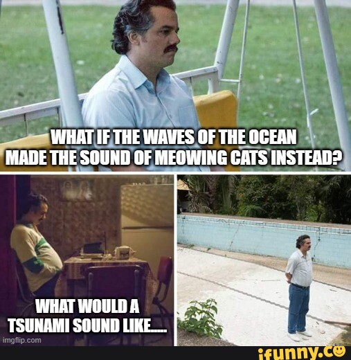 Tsunami memes. Best Collection of funny Tsunami pictures on iFunny