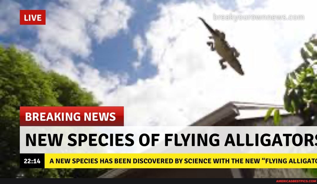 A new species discovered? - LIVE BREAKING NEWS NEW SPECIES OF FLYING ...