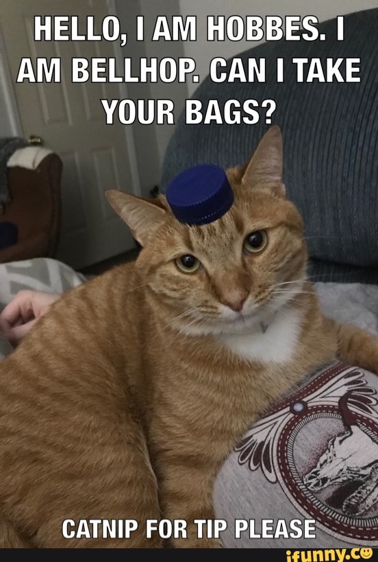 Bellhop memes. Best Collection of funny Bellhop pictures on iFunny