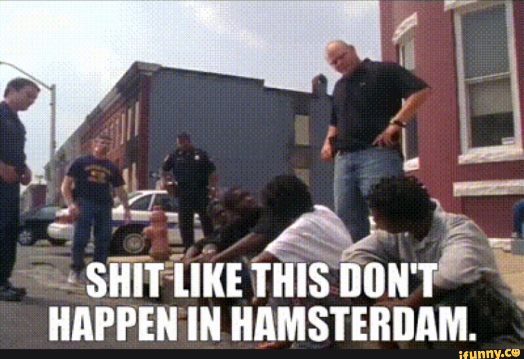 Newhamsterdam memes. Best Collection of funny Newhamsterdam pictures on ...
