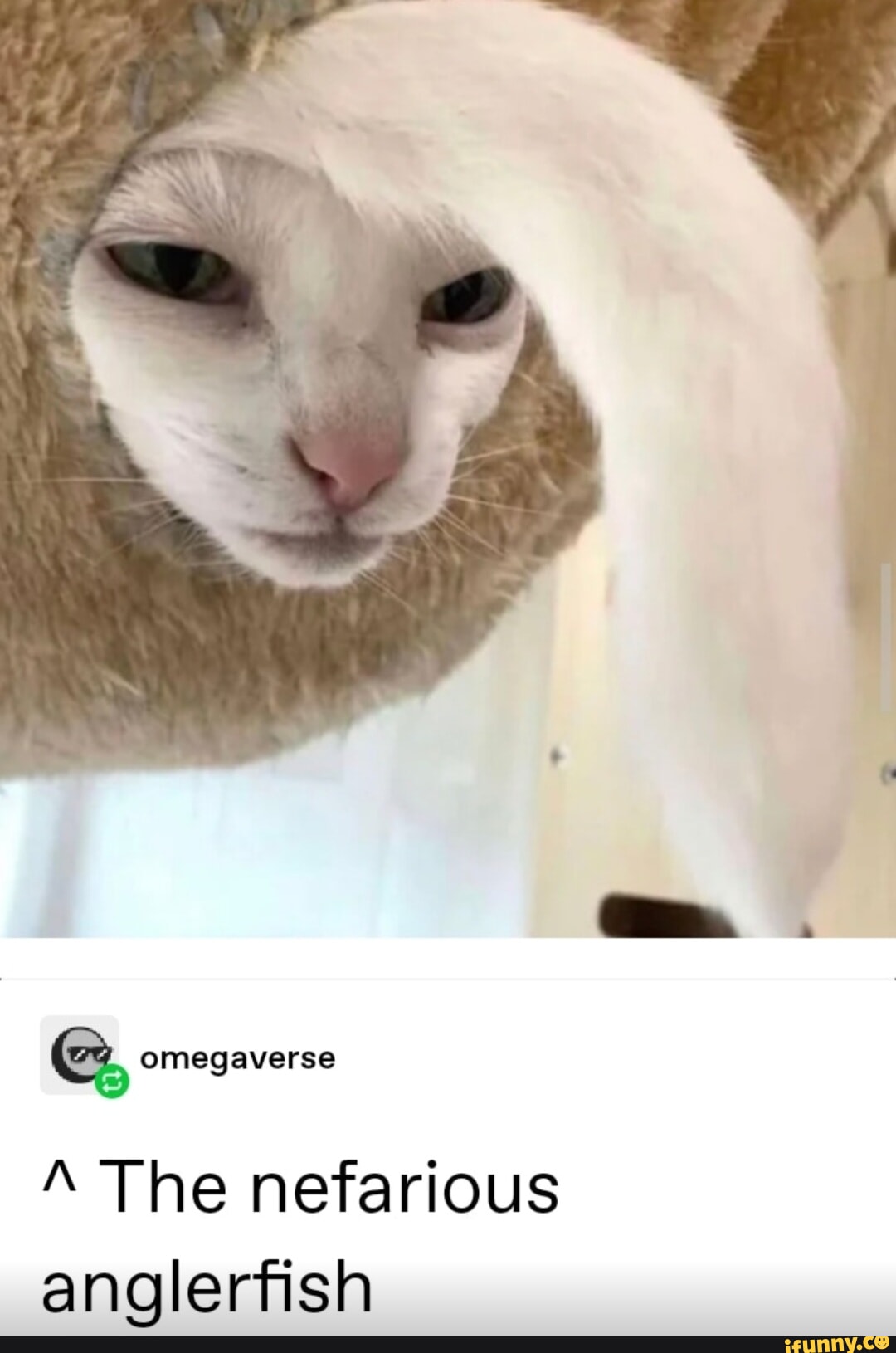 Omegaverse The nefarious anglerfish - iFunny