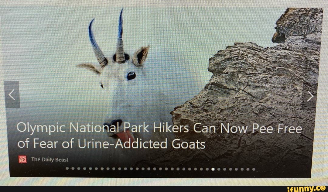 Olympic ot Fear National?' Park Hikers Urine- Can- Goats Now, of Fear ...