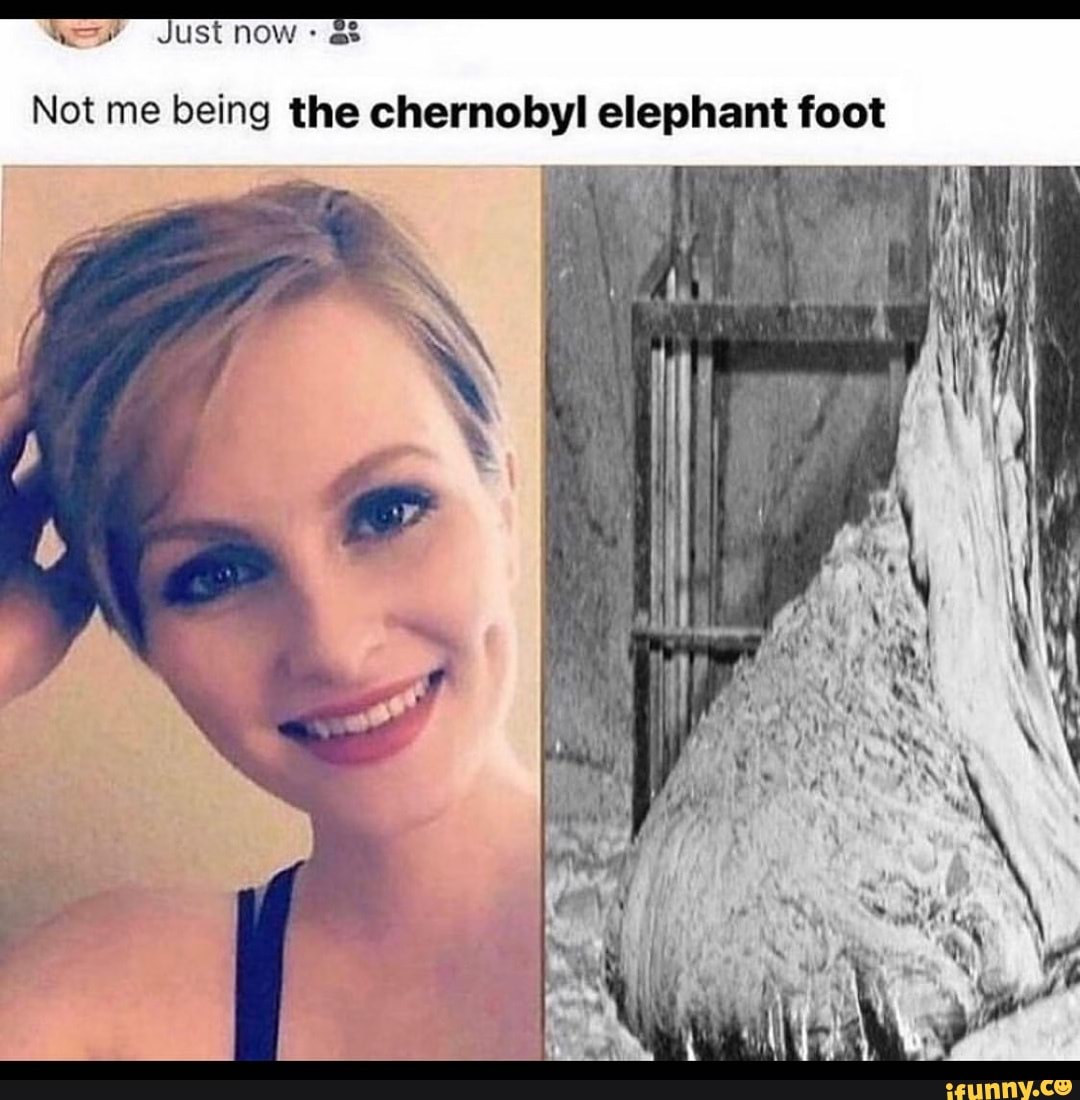 Just now Not me being the chernobyl elephant foot - iFunny