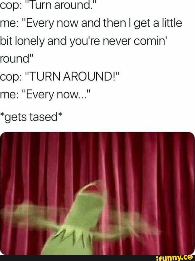 Cop: !urn around. me: "Every now and then I get a little bit lonely and ...