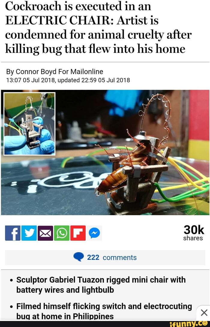 Cockroach is executed in an ELECTRIC CHAIR: Artist is condemned for ...