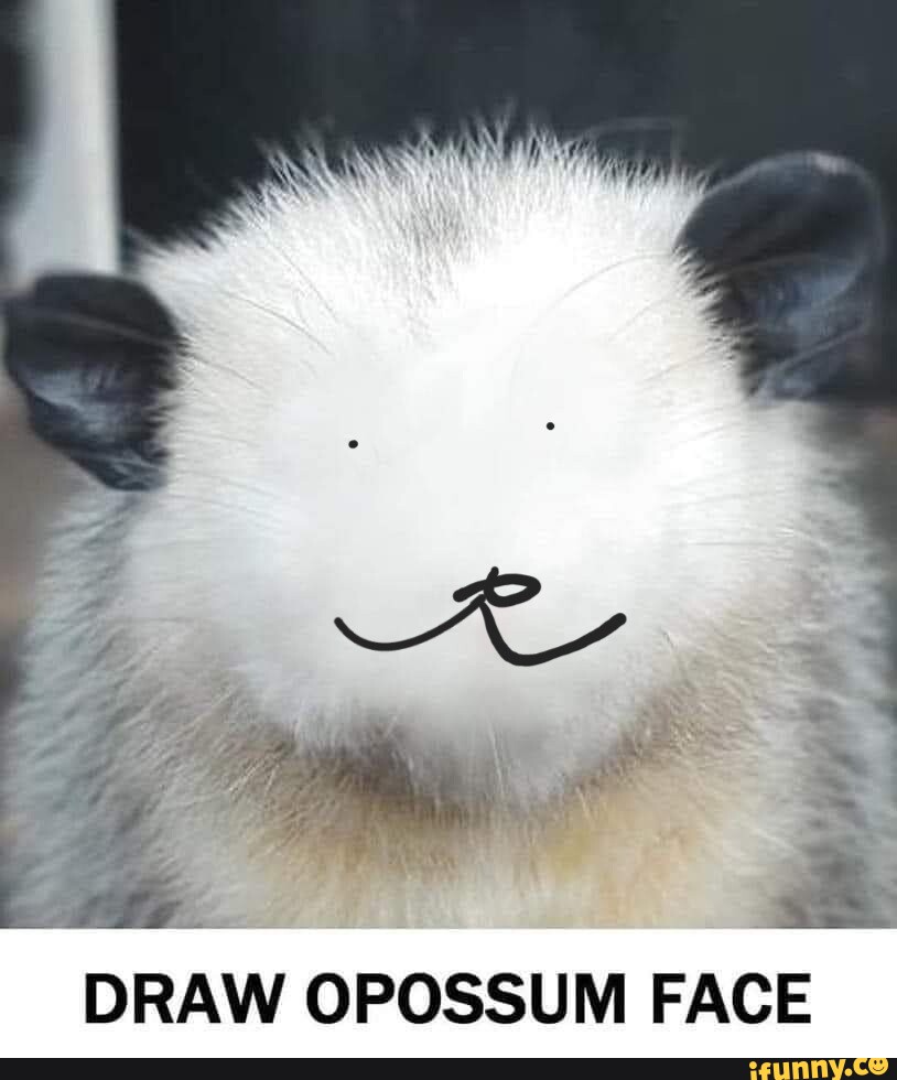 DRAW OPOSSUM FACE - iFunny