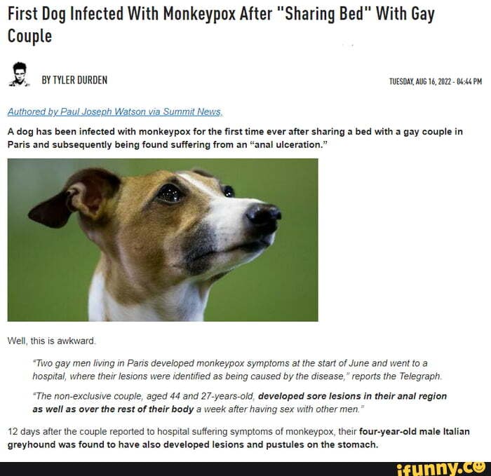 Monkeypox memes. Best Collection of funny Monkeypox pictures on iFunny