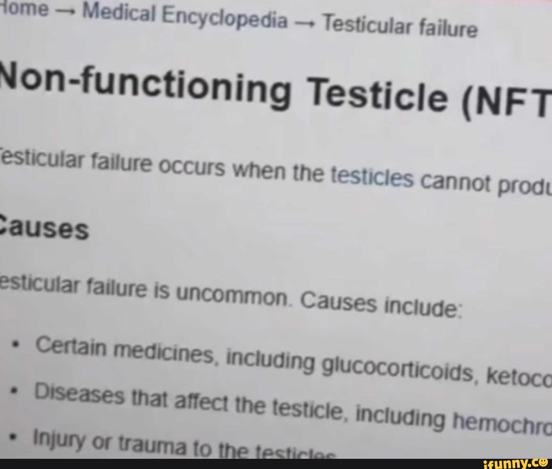 Tome - Medical Encyclopedia Testicular failure On Testicle (NFT ...
