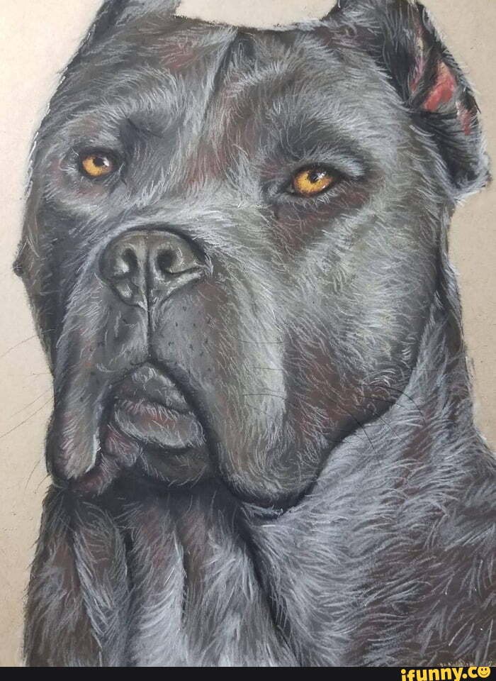 Self_taught memes. Best Collection of funny Self_taught pictures on iFunny