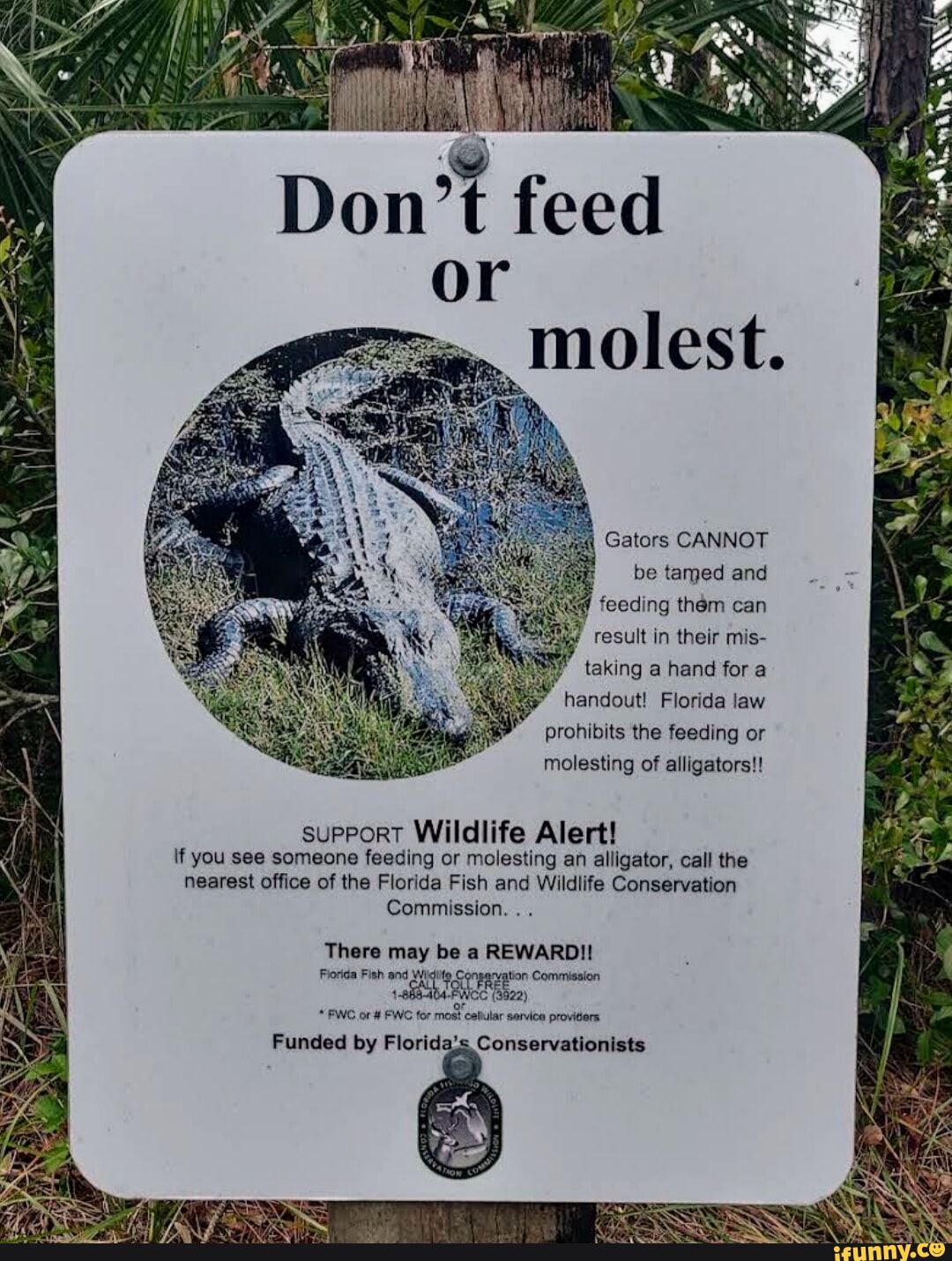 Handout memes. Best Collection of funny Handout pictures on iFunny