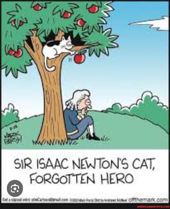 WA I SIR ISAAC NEWTON'S CAT, FORGOTTEN HERO We Gat ated De move Homes ...