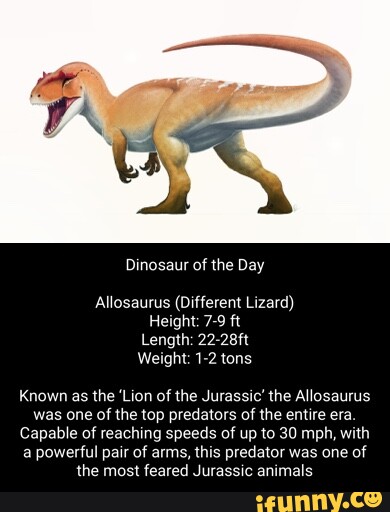 Dinosaur of the Day Allosaurus (Different Lizard) Height: 7-9 ft Length: 22-28ft Weight: 1-2 ...