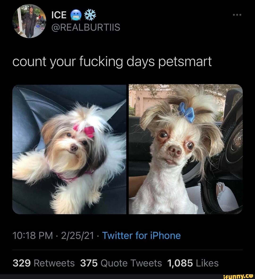 @REALBURTIIS count your fucking days petsmart PM - - Twitter for iPhone ...