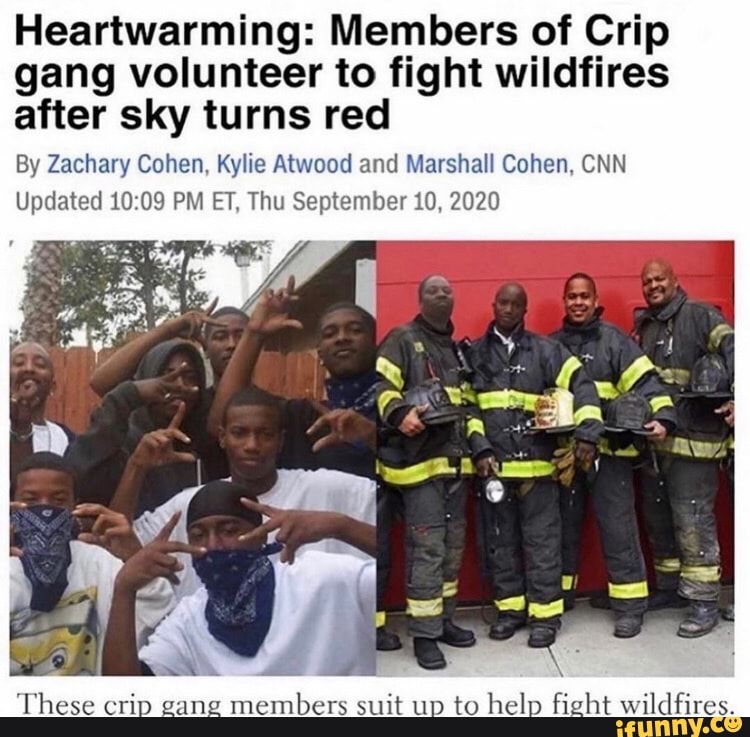Heartwarming: Members of Grip gang volunteer to fight wildfires after ...