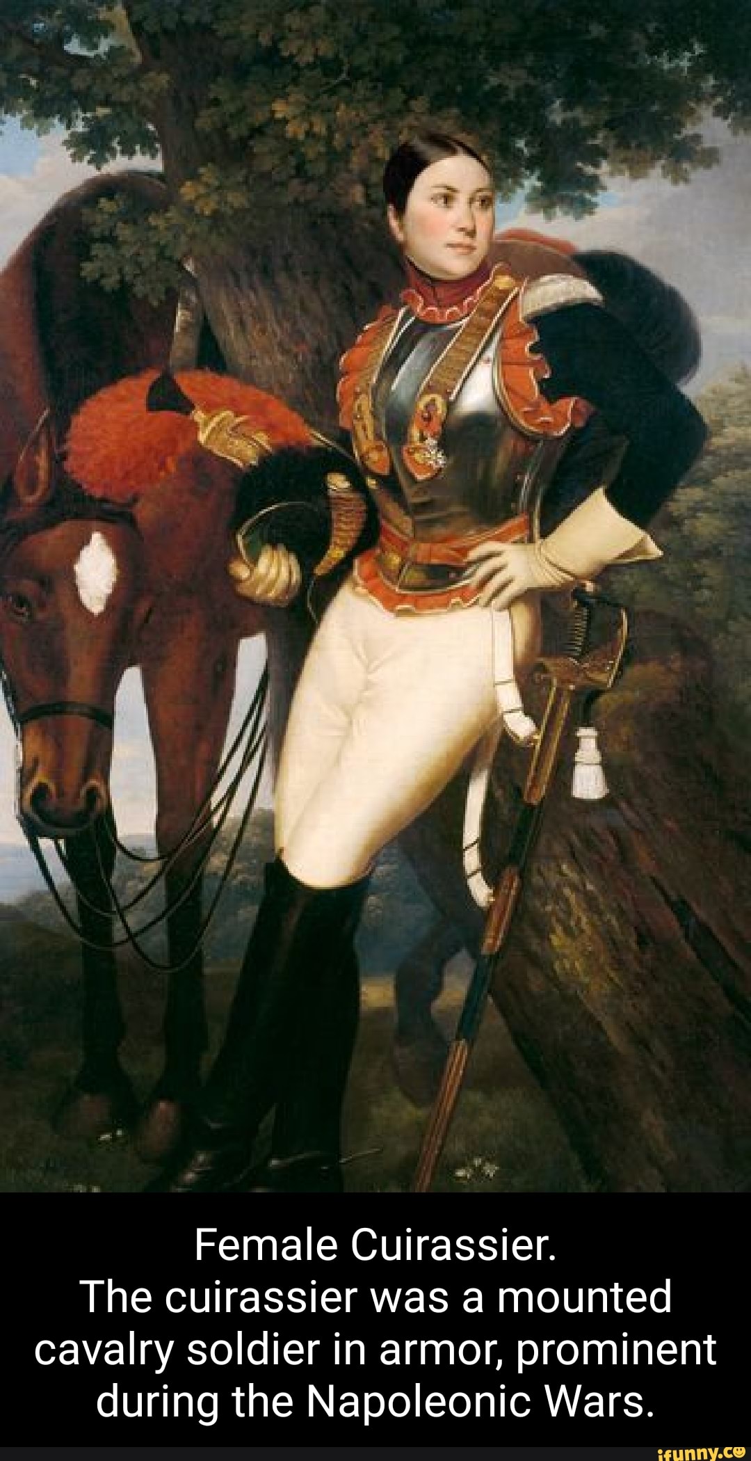 Female Cuirassier. The cuirassier was mounted cavalry soldier in armor, prominent during the ...