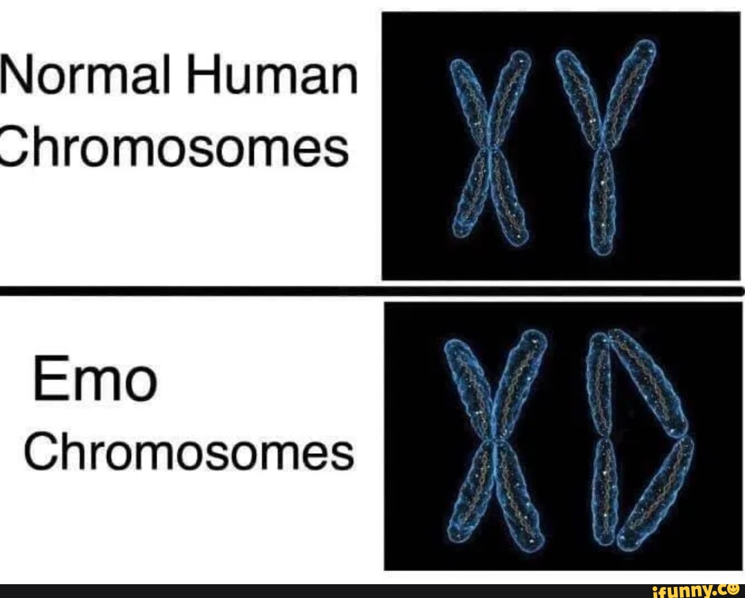 Normal Human chromosomes Emo Chromosomes - iFunny