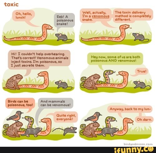 Venomousanimals memes. Best Collection of funny Venomousanimals ...