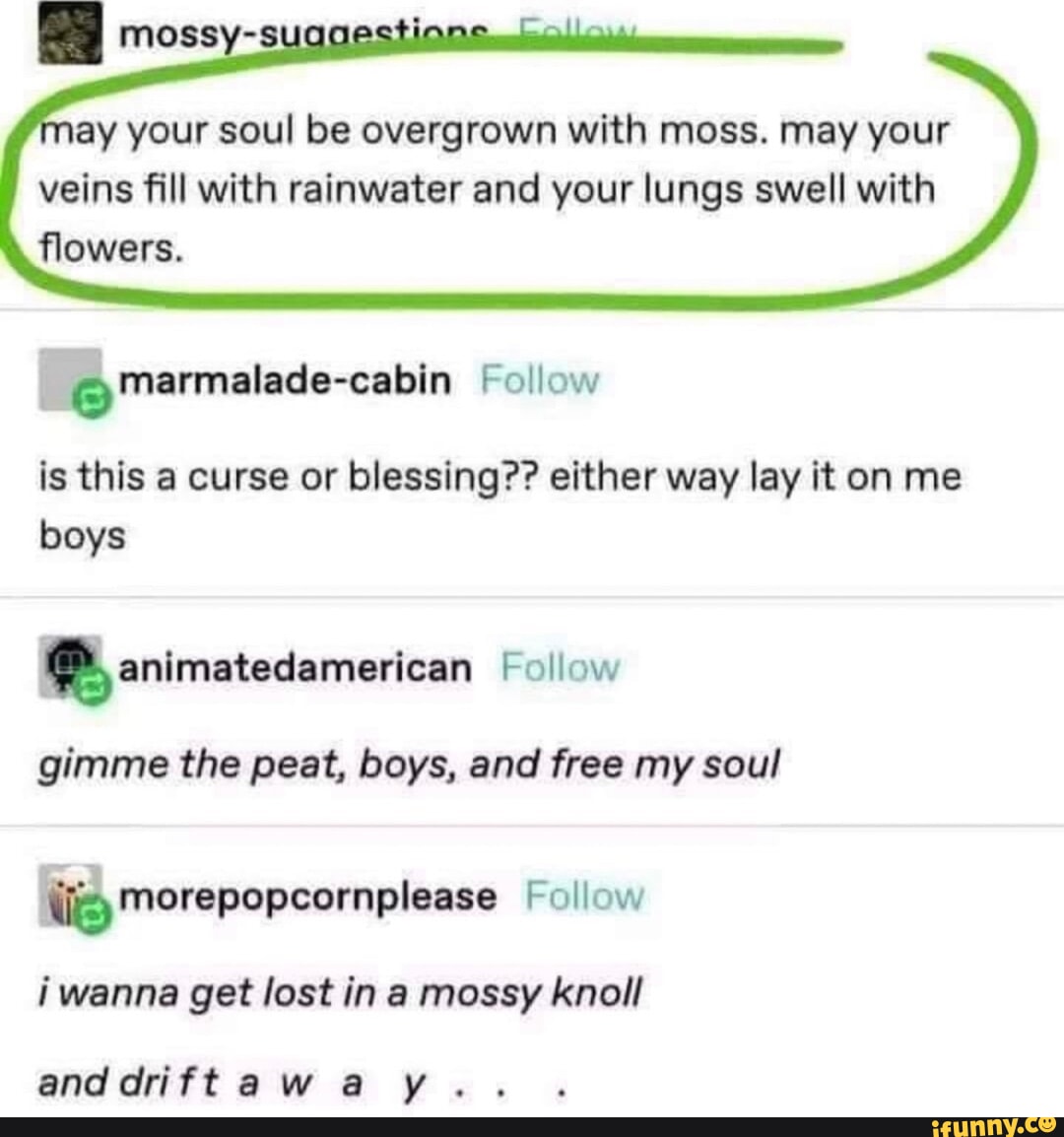 Rainwater memes. Best Collection of funny Rainwater pictures on iFunny