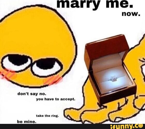 Yeah ok liberal - iFunny