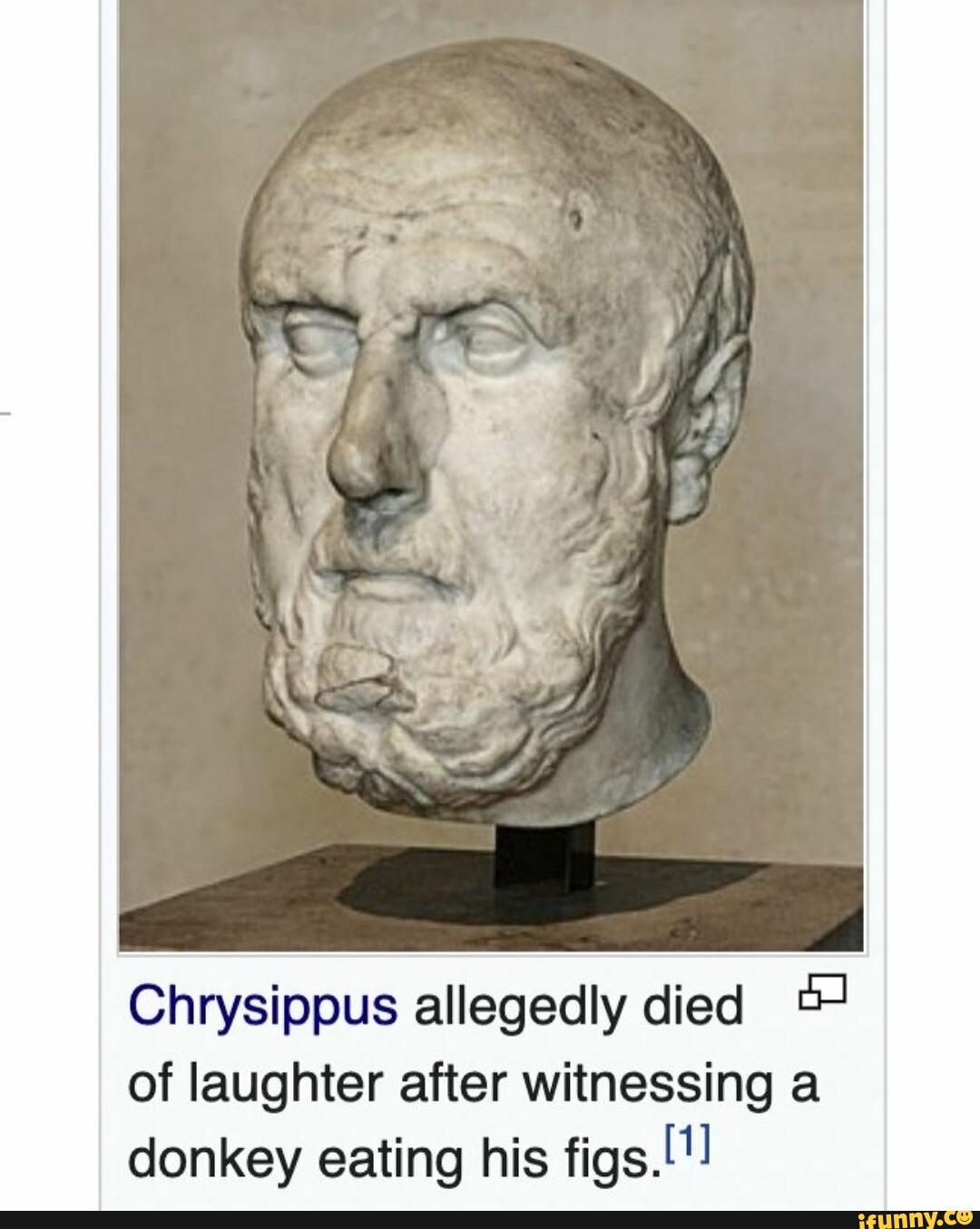 Chrysippus allegedly died of laughter after witnessing a donkey eating ...