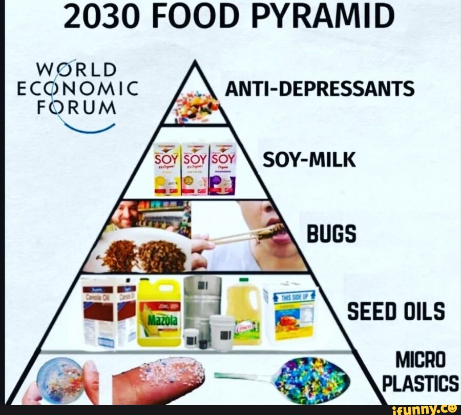 2030 FOOD PYRAMID WORLD ECONOMIC FORUM - iFunny