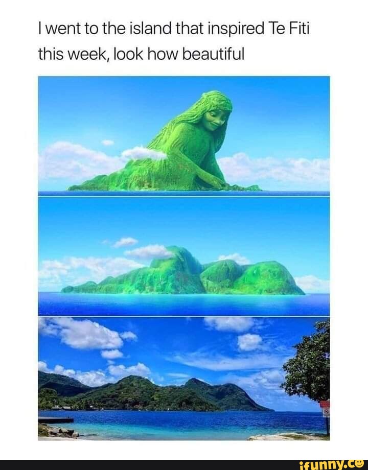Fiti memes. Best Collection of funny Fiti pictures on iFunny