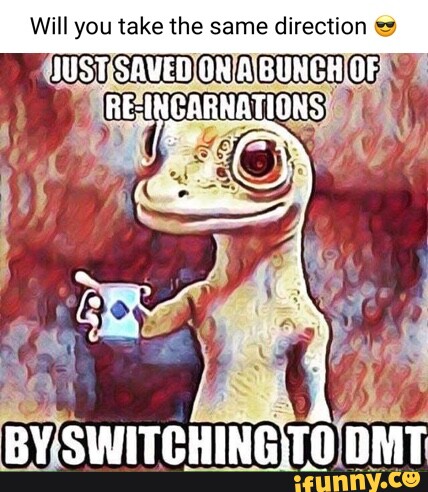 Shrooms memes. Best Collection of funny Shrooms pictures on iFunny