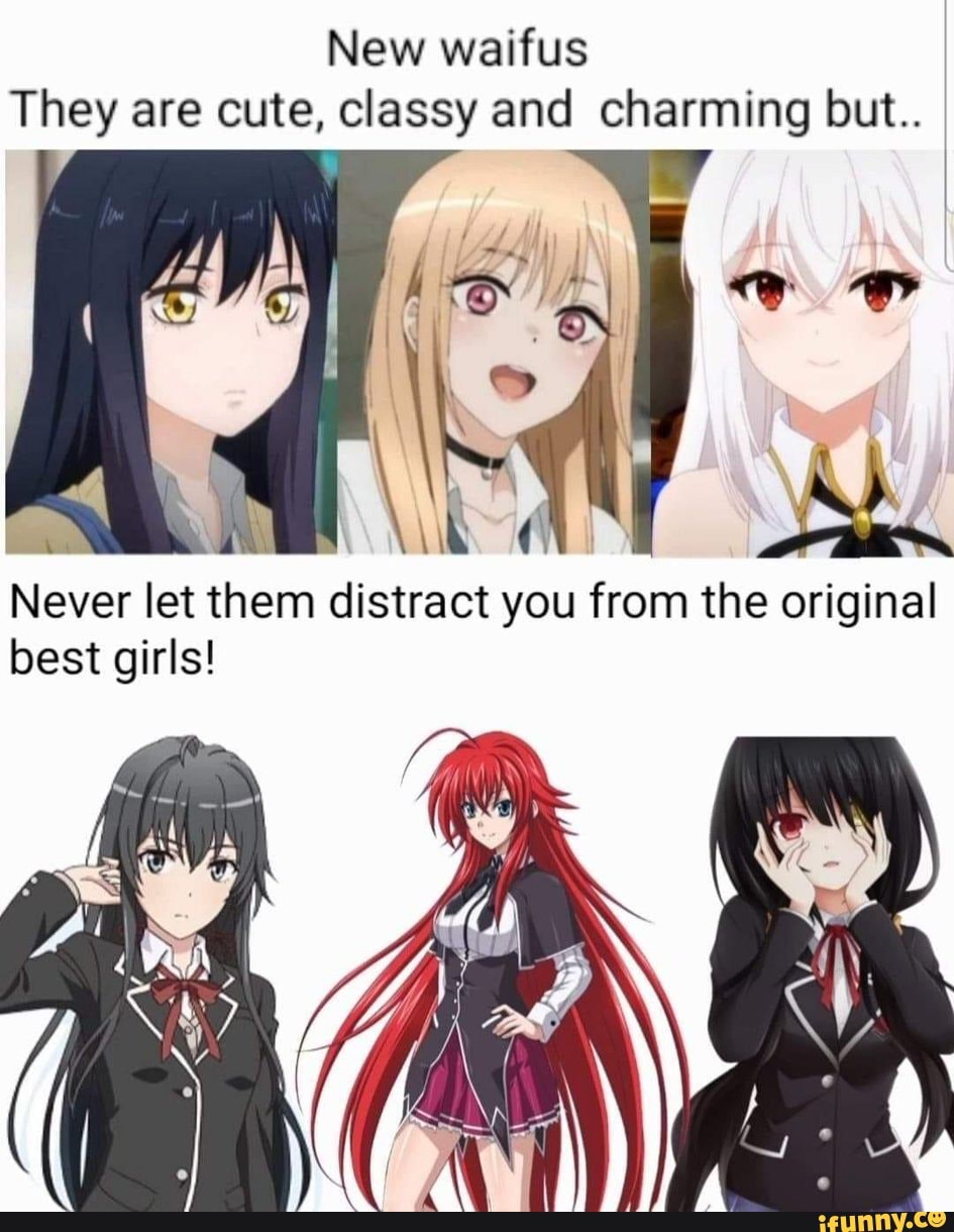New waifus They are cute, classy and charming but.. Never let them ...