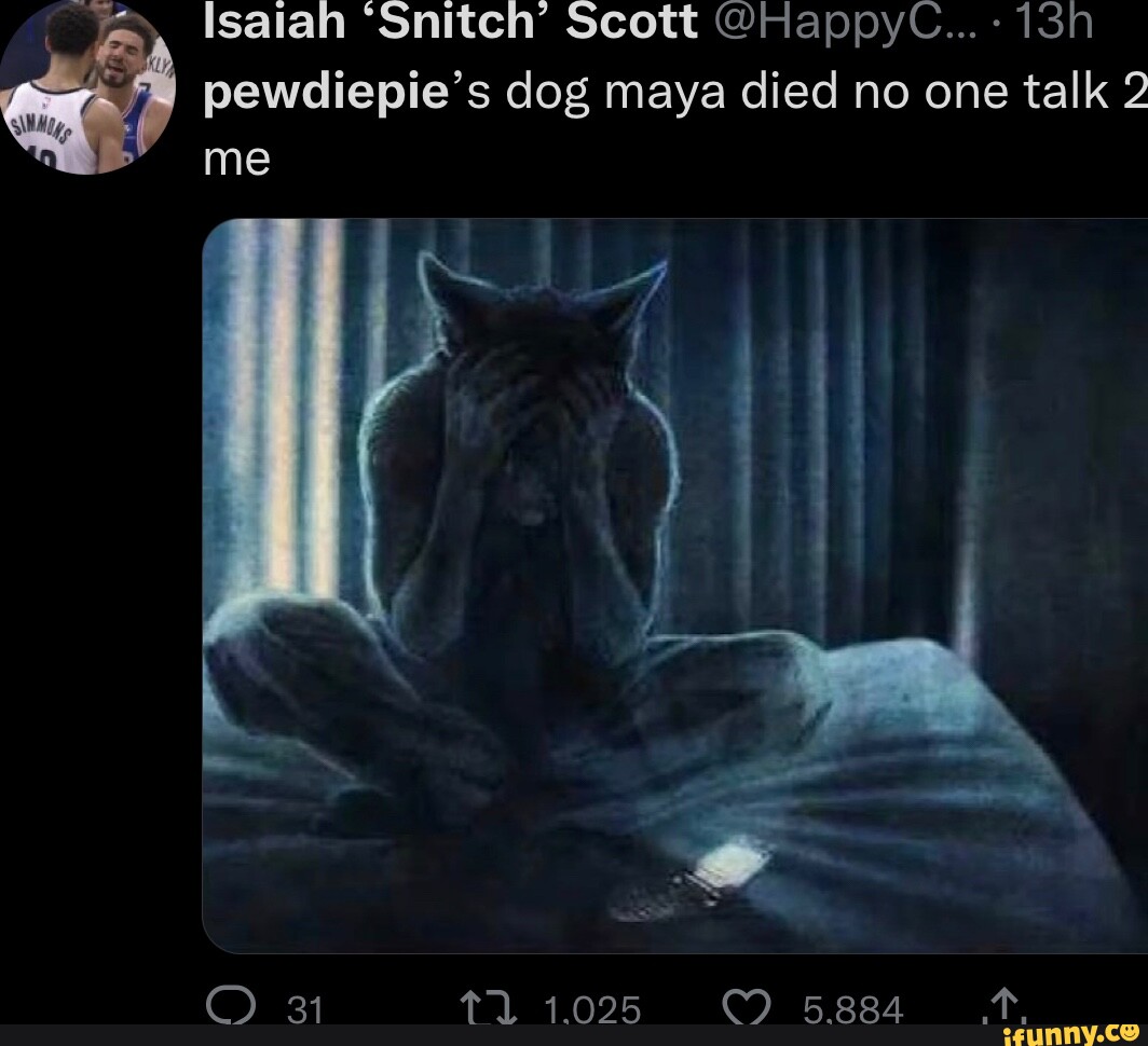 Isaiah 'Snitch' Scott @HappyC...- pewdiepie's dog maya died no one talk ...