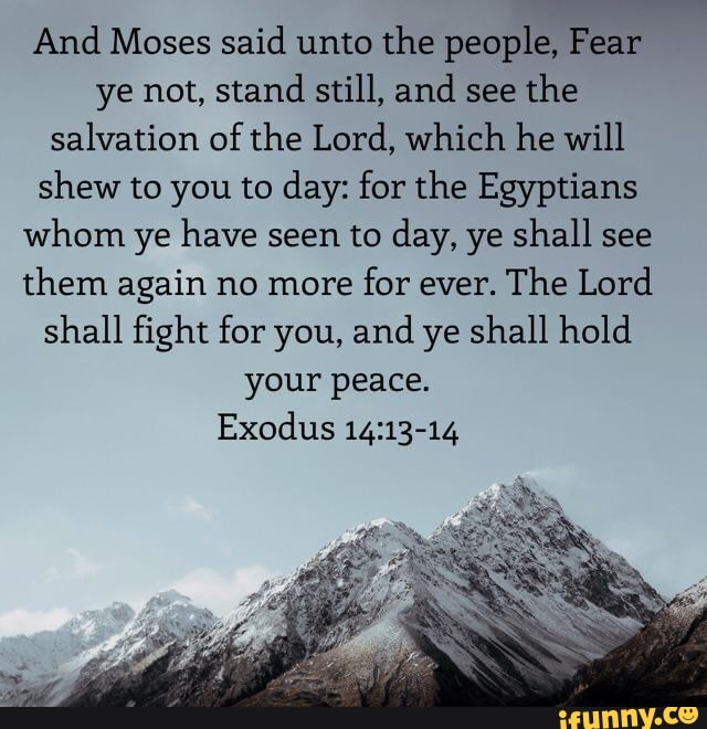 And Moses said unto the people, Fear ye not, stand still, and see the ...