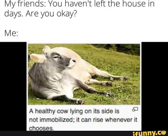 My triends: You naven't lert the nouse In days. Are you okay? Me: A ...