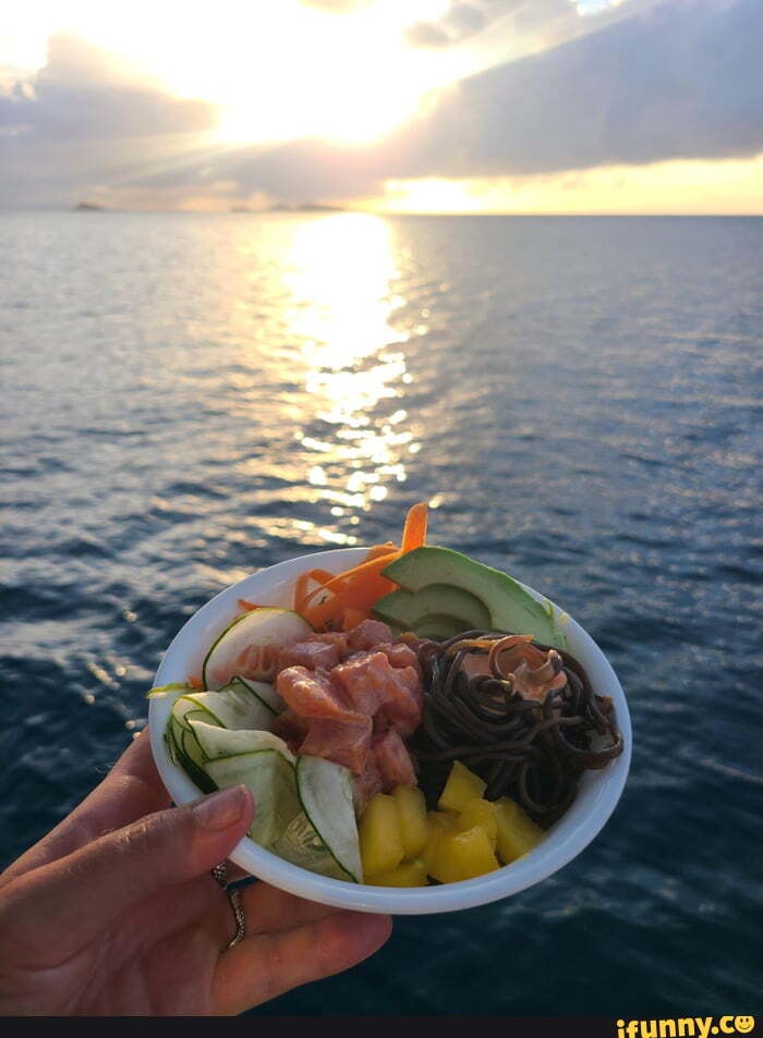 Poké memes. Best Collection of funny Poké pictures on iFunny