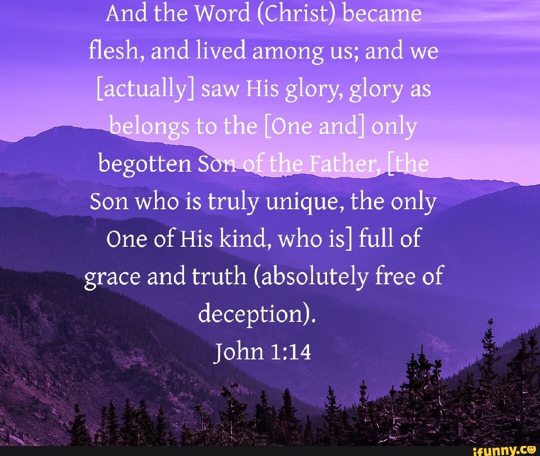 And the Word (Christ) became flesh, and lived among us; and we ...