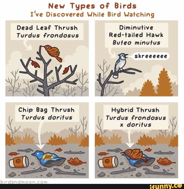 Frondosus memes. Best Collection of funny Frondosus pictures on iFunny