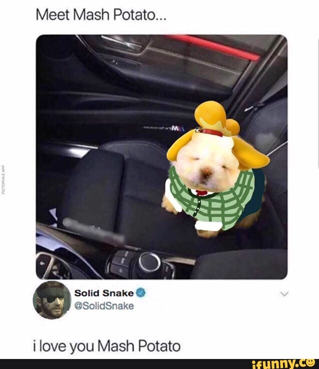 Meet Mash Potato,“ i love you Mash Potato - iFunny