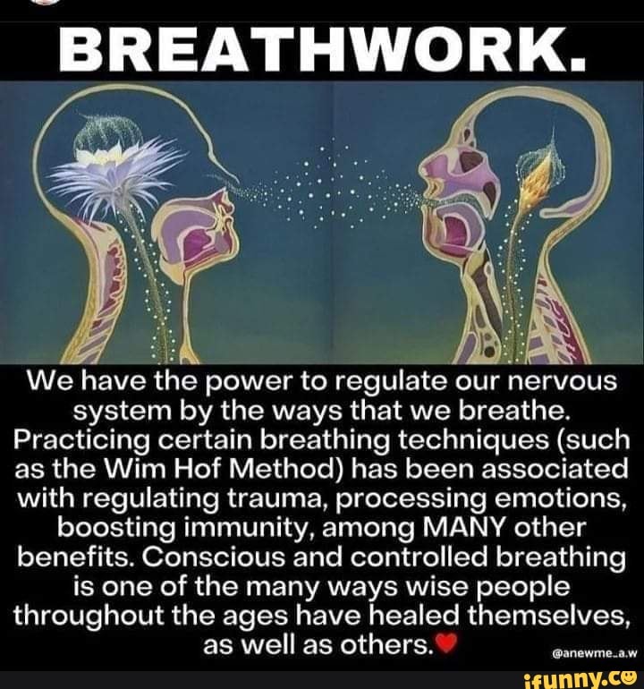 Breathwork memes. Best Collection of funny Breathwork pictures on iFunny