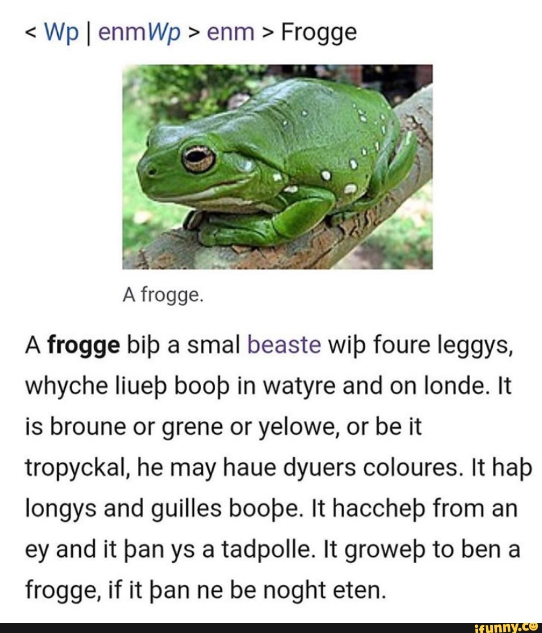 Tropyckal memes. Best Collection of funny Tropyckal pictures on iFunny