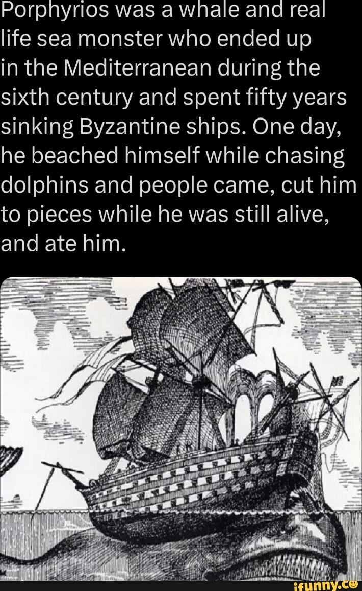 Porphyrios was a whale and real life sea monster who ended up in the ...