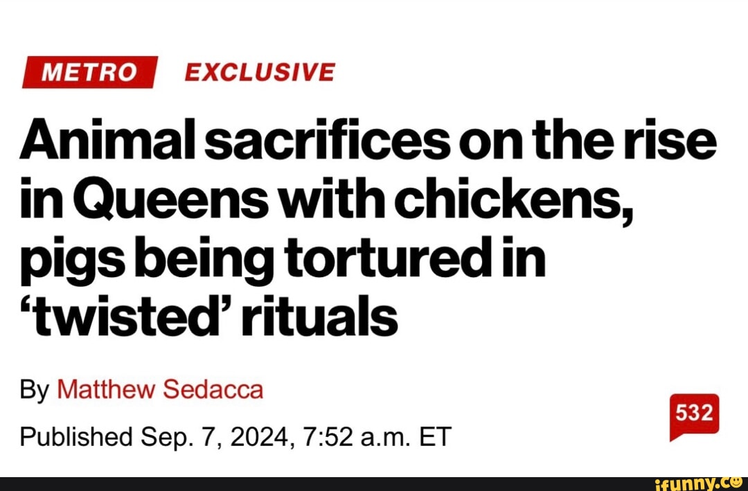 METRO EXCLUSIVE Animal sacrifices on the rise in Queens with chickens ...