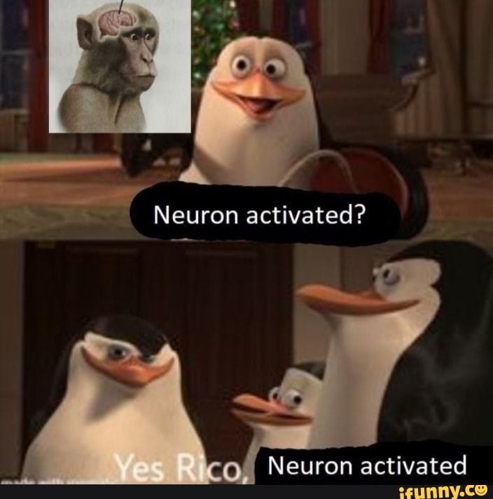 Neuron activated? Neuron activated - iFunny