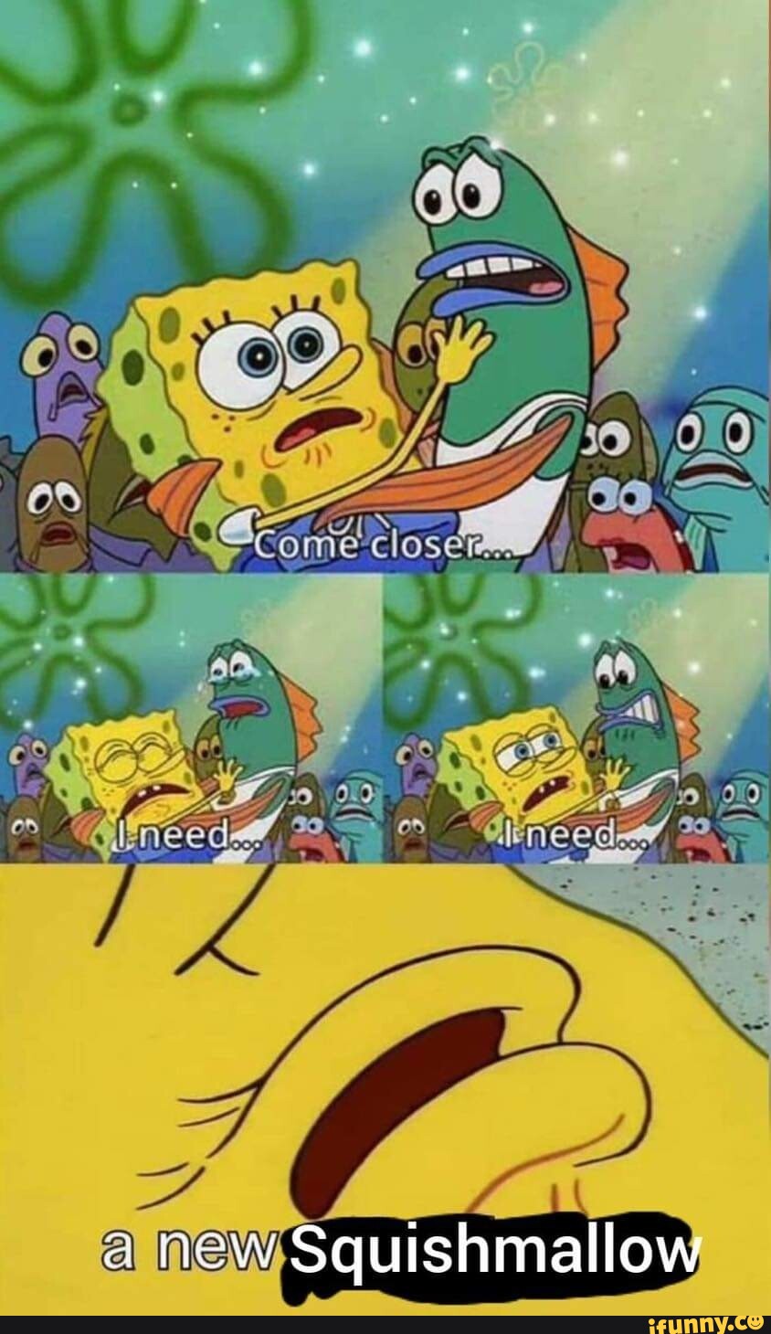 Squishmallow memes. Best Collection of funny Squishmallow pictures on ...