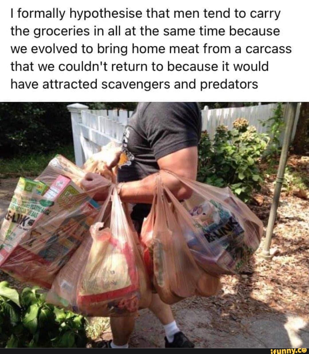 Hypothesise memes. Best Collection of funny Hypothesise pictures on iFunny