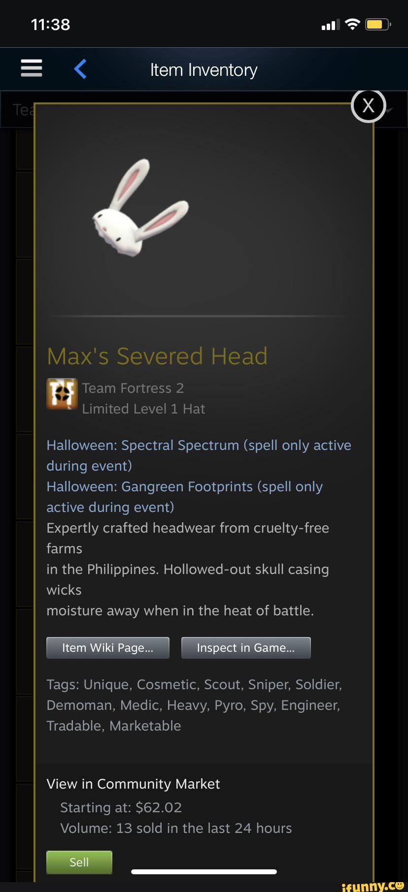 Item Inventory Max's Severed Head Team Fortress 2 Limited Level 1 Hat ...