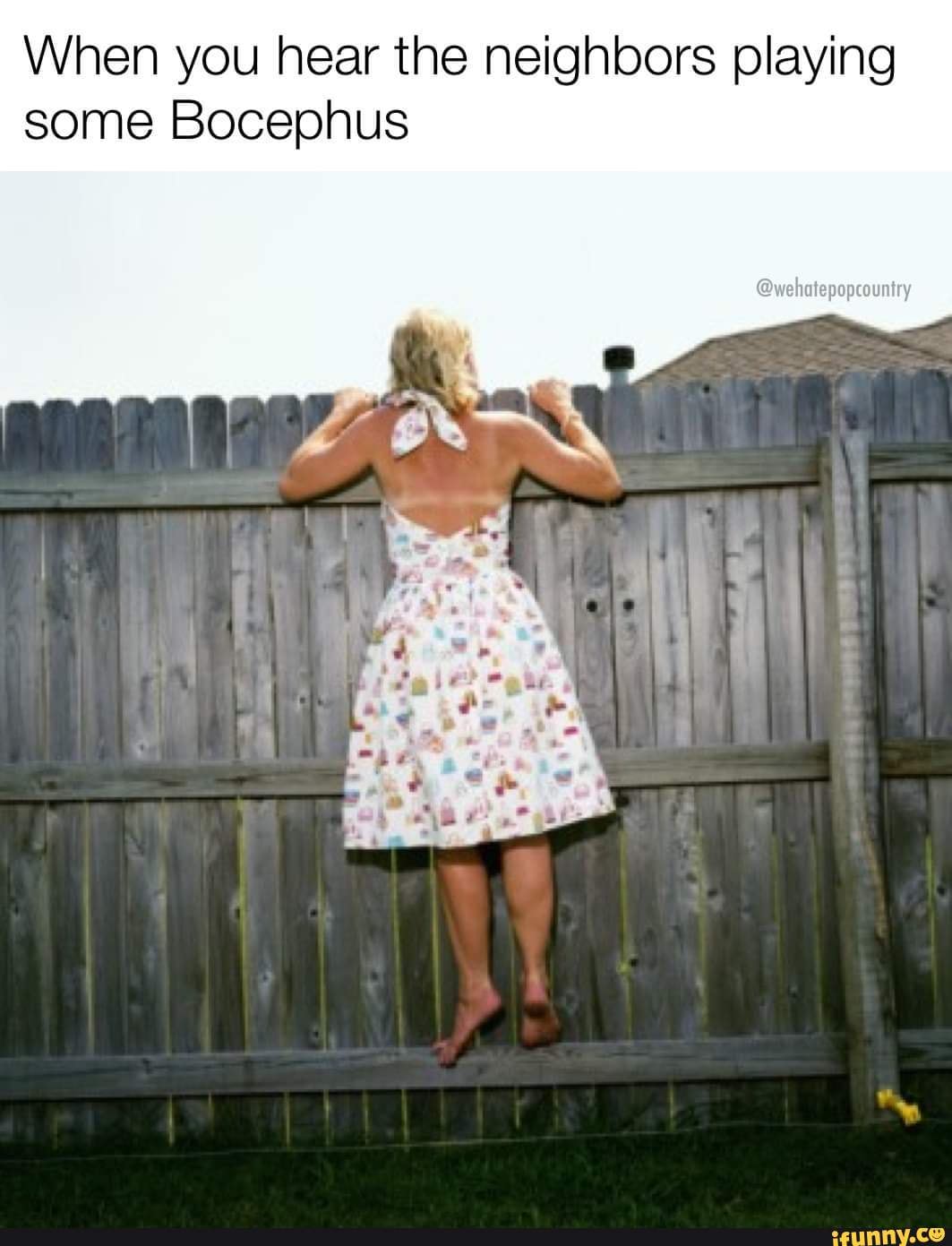 Bocephus memes. Best Collection of funny Bocephus pictures on iFunny