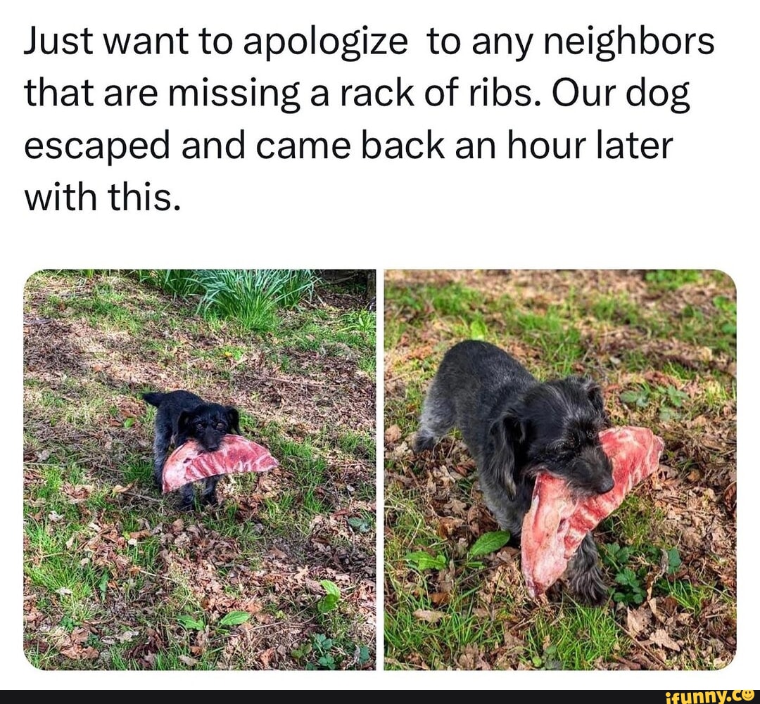 Just want to apologize to any neighbors that are missing a rack of ribs ...