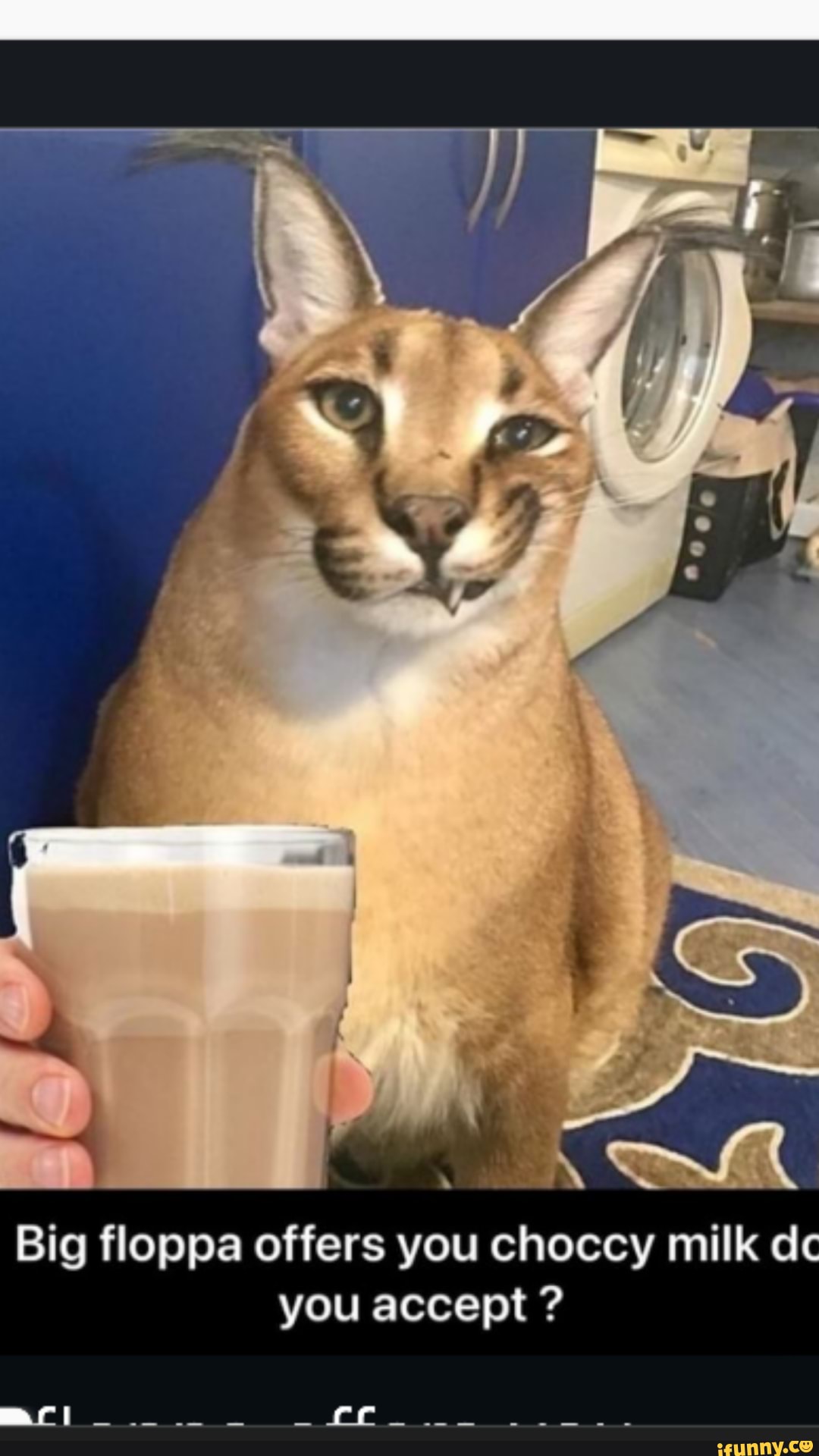 Big floppa offers you choccy milk you NE - iFunny