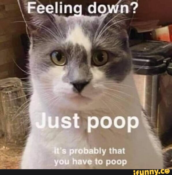 Picture memes tRBxqxUV6 by leeewee: 1.7K comments - iFunny