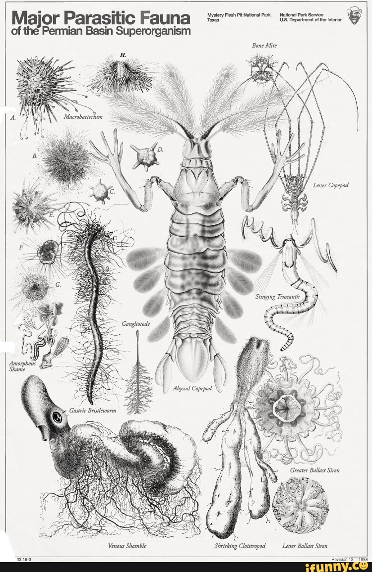 Major Parasitic Fauna of the Permian Basin Superorganism Bone Mite ...