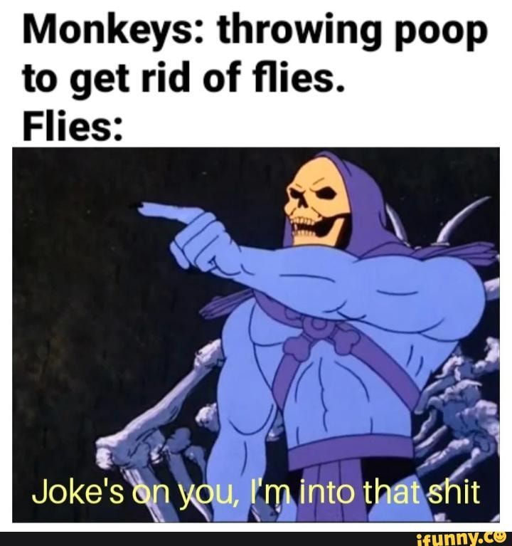 Monkeys: throwing poop to get rid of flies. Flies: - iFunny